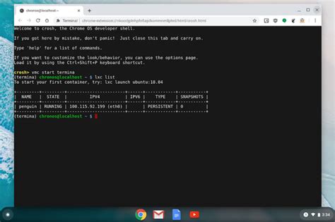 using lxd on your chromebook ubuntu