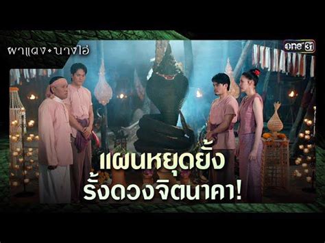 ช่องวัน 31 ถ่ายทอดสด “วอลเลย์บอลหญิง วัน อาเซียน กรังปรีซ์ ครั้งที่ 2” เชียร์นักตบสาวไทย ทุก