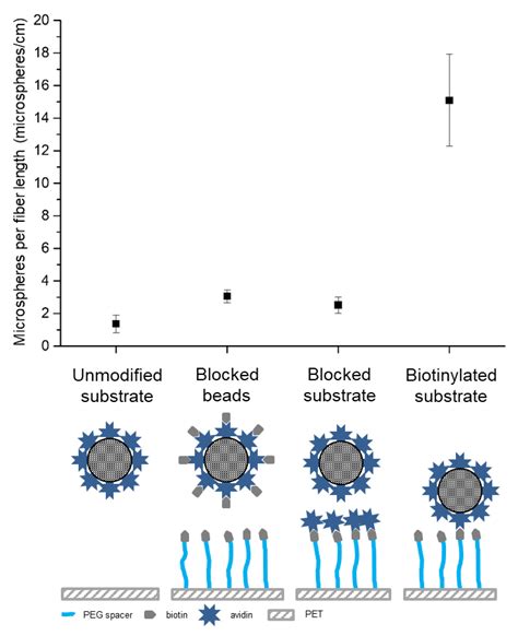 Biotin Avidin Mediated Capture Of Microspheres On Polymer Fibers
