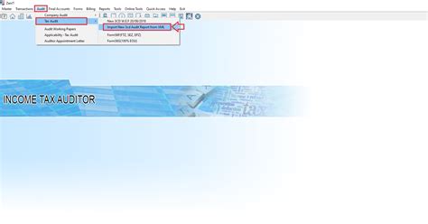 Tax Audit → Json Import Process