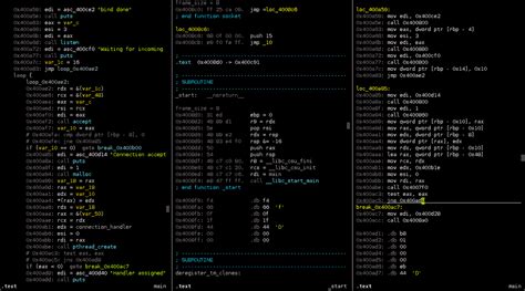 Create Your Own Disassembler In Python Pefile And Capstone By Islem