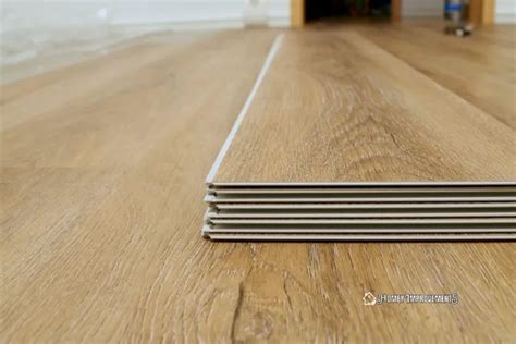 Difference Between Spc Vs Wpc Flooring Detailed Comparison