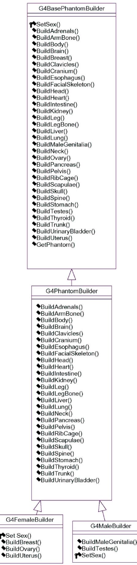Figure 1 From Geant4 Anthropomorphic Phantoms Semantic Scholar