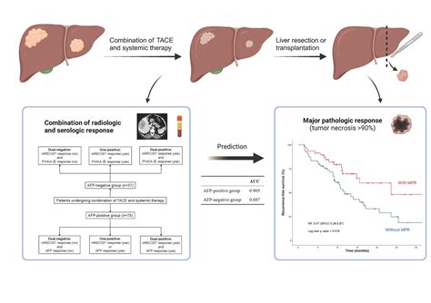 Journal Of Hepatocellular Carcinoma Volume 12 Dove Press
