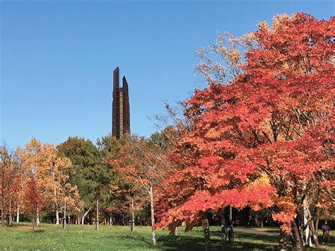 札幌で美しい紅葉に出合う秋を満喫 札幌市内の鑑賞スポット9カ所を紹介 TripEat北海道