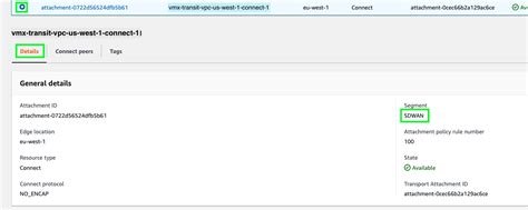Deploying Meraki Vmx In A Transit Vpc With Aws Cloud Wan Tunnel Less Connect Cisco Meraki