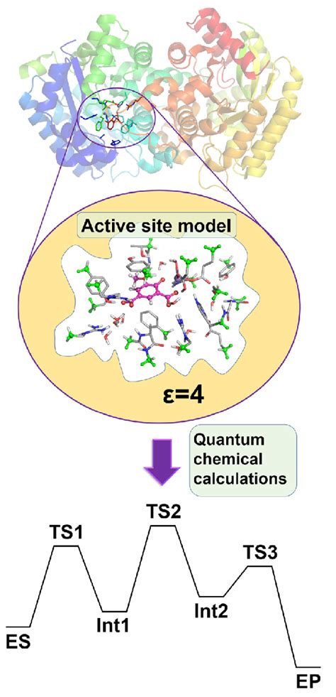 Schematic Drawing Of The Cluster Approach Download Scientific Diagram
