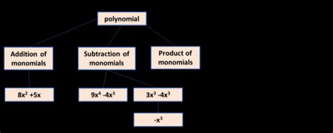 Example Of A Polynomial Concept Map According To The Construction Protocol Download
