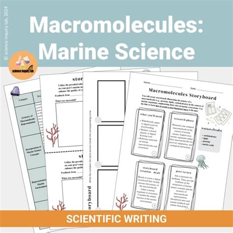 Macromolecule Storyboard Project By Science Inquiry Lab Tpt