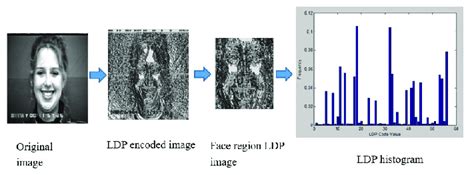 ldp expression feature extraction process download scientific diagram
