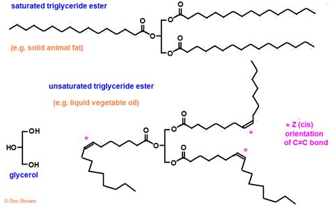 Molecular Structure Of Saturated And Unsaturated Fatty Acids