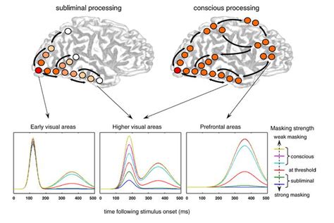 Subliminal Stimulation Subliminal Perception