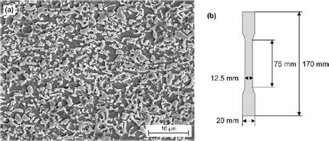 A Microstructure Of Ferritic Martensitic Dp1000 Sem Image B