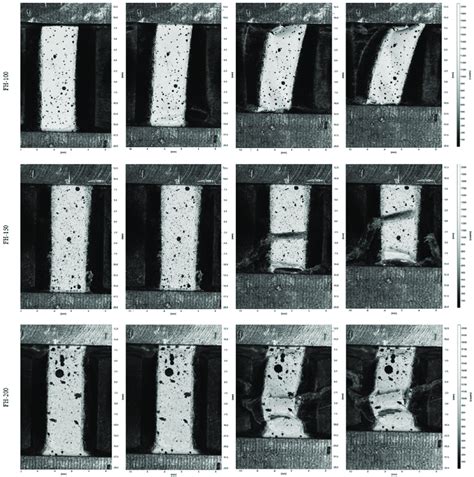 Cell Wall Deformation Behavior Under Compression At Four Different