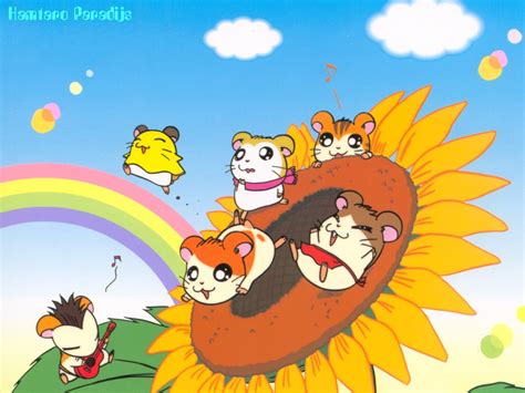 🔥 Free Download Hamtaro Wallpaper By Rsmith71 Wallpapersafari