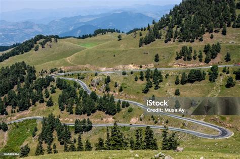 구불구불한 길은 언덕 위의 구불구불한 길과 숲 근처 구부러진 곳 0명에 대한 스톡 사진 및 기타 이미지 0명 경관 계곡 Istock