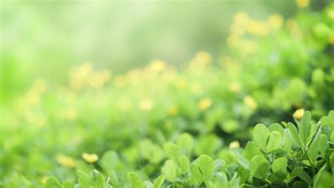 Why Is The Sustainability Important For Development Key Reasons