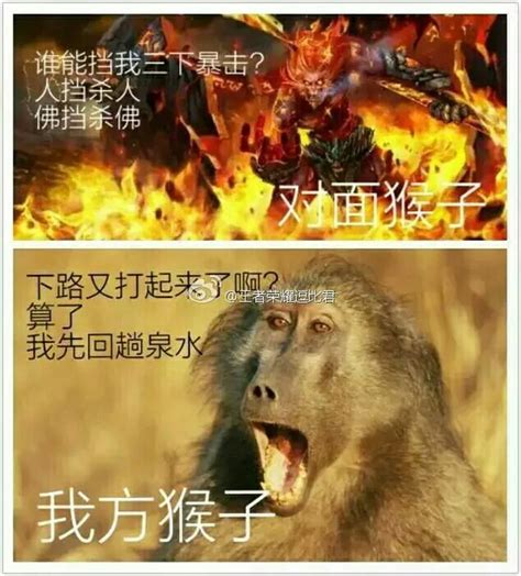 王者荣耀斗图表情包第三十七期 敌我队友大对比九游王者荣耀ios专区