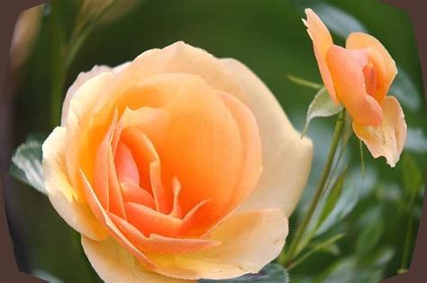 Sphere Implementation In C Programming Algorithms