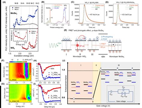 清华大学熊启华教授团队infomat：二维半导体异质结界面的电荷和能量转移动力学 X Mol资讯