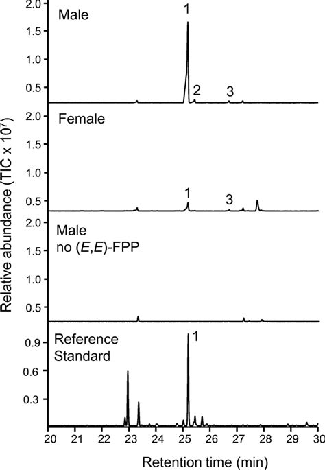 Terpene Synthase Activity In Crude Protein Extracts From Tissues Of The Download Scientific