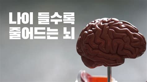 5060 기억력 좋아지는 방법