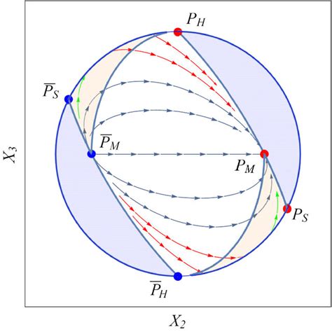 Global Phase Space For A Massless Ghost Scalar Field The Blue Region Download Scientific