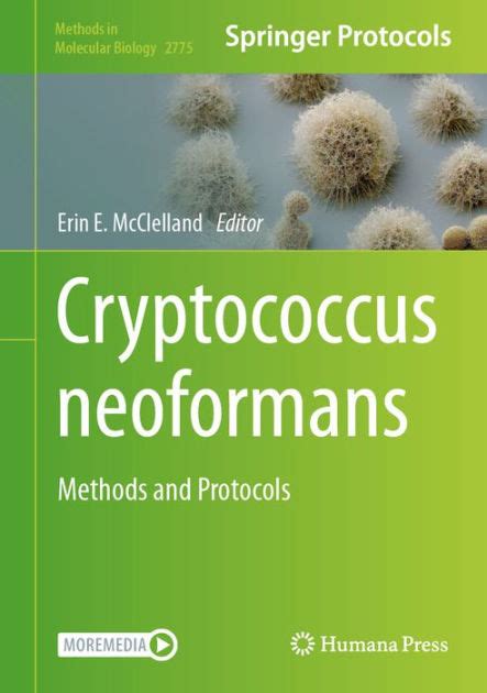 Cryptococcus Neoformans Methods And Protocols By Erin E Mcclelland Ebook Barnes And Noble®