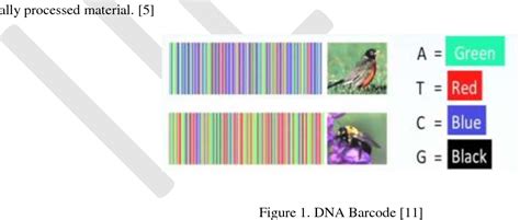 Figure 1 From Dna Barcoding And Its Applications Semantic Scholar