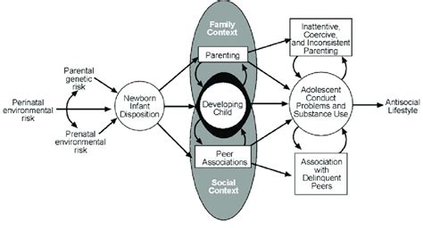 1 An Overview Of Coercion Theory From Capaldi And Eddy 2005 Download Scientific Diagram