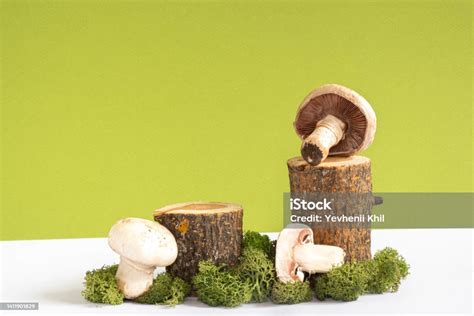 자연 스타일 녹색 배경에 녹색 이끼와 버섯이있는 나무 연단 제품 프리젠 테이션을위한 정물 천연 화장품을위한 모형 0명에 대한 스톡 사진 및 기타 이미지 Istock