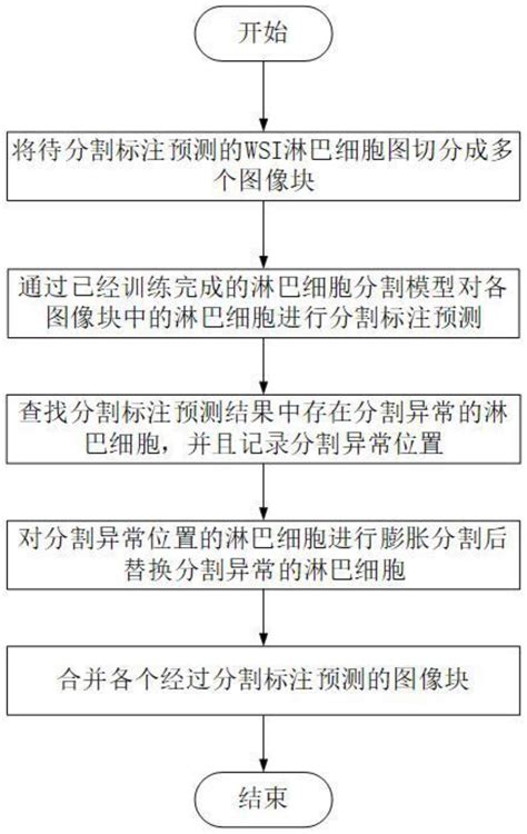一种淋巴细胞标注方法和系统与流程