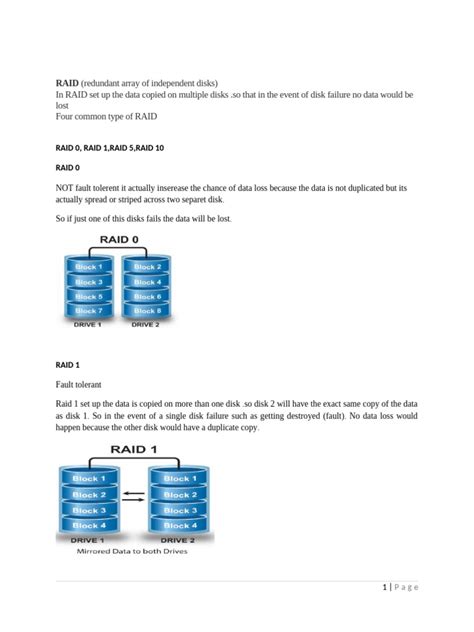 raid pdf