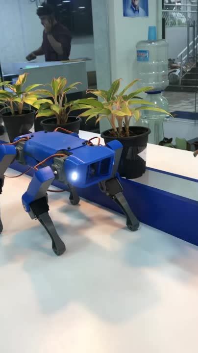 Nihal Abbas On Linkedin Robotics Bostondynamics Roboticautomation
