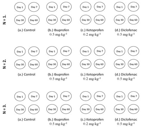 Schematic Diagram Of Experiment Set Up Download Scientific Diagram