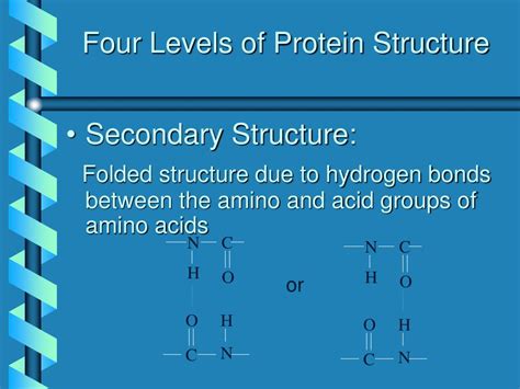 Ppt Protein Structure And Enzyme Function Powerpoint Presentation Free Download Id 306318