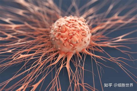 Sci Adv 肿瘤泛素化组学揭示代谢重编程机理 知乎