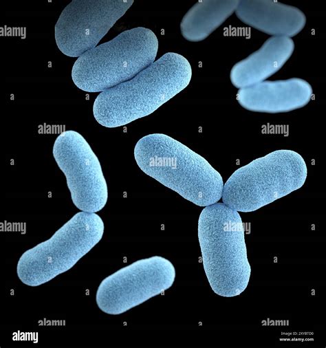 Diphtheria Bacteria Shape Understanding And Engineering Microbiomes
