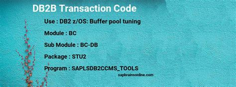 DB B SAP Tcode For DB Z OS Buffer Pool Tuning DB B SAP Tcode For DB Z OS Buffer Pool Tuning