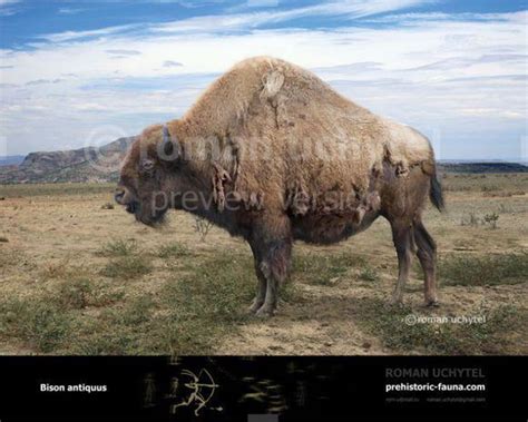 一大波古生物复原图 带你穿越回史前时代