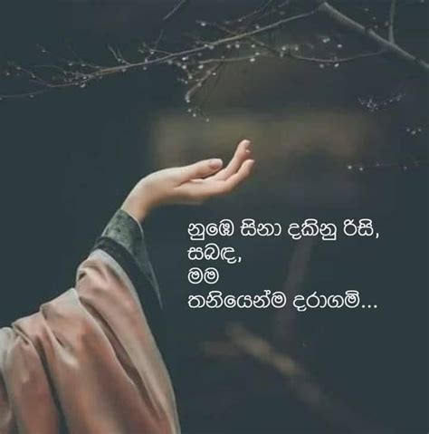 සුලං කපොල්ල