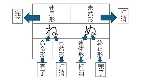 古典の助動詞「ず」と「ぬ」の識別と活用を徹底解説【練習問題付】｜ミチプラス