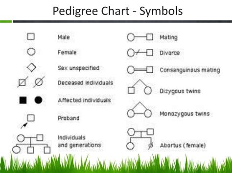 Ppt Pedigree Charts Powerpoint Presentation Id2148184