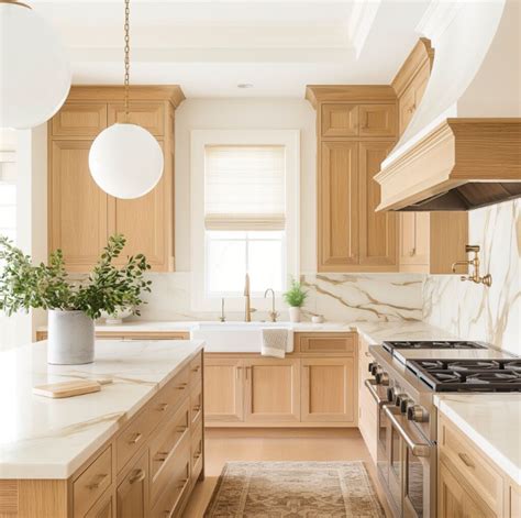 Taj Mahal Quartzite Kitchen A Culinary Journey Awaits Willyhomes