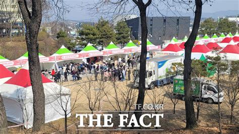 달콤한 유혹 논산딸기축제 개막 [tf사진관] 전국 기사 더팩트