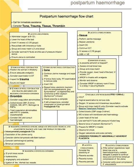 Postpartum Hemorrhage Flow Chart Hemorrhage Nursing Nursing School