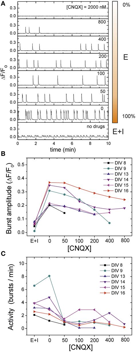 Network Disintegration Through Cnqx In An E Only” Network A Download Scientific Diagram