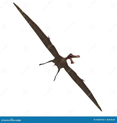 Pterosaur Cartoons Illustrations And Vector Stock Images 2012 Pictures