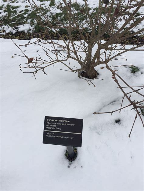 Its Sign Season When You Plant Something New In Your Garden Label It Before The First Frost