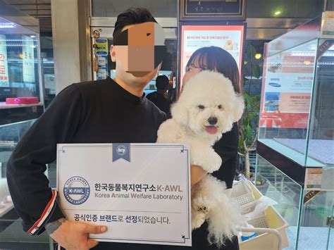 비숑프리제 우유 사모예드책임분양 스피츠책임분양 시바견책임분양 시베리안허스키책임분양 시츄책임분양 요크셔테리어책임분양 웰시코기책임분양 이탈리아그레이하운드책임분양 치와와책임분양